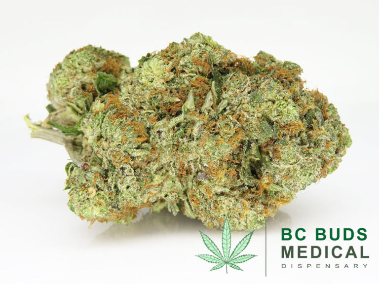 BC BUDS MEDICAL - Mail Order Marijuana Dispensary Canada